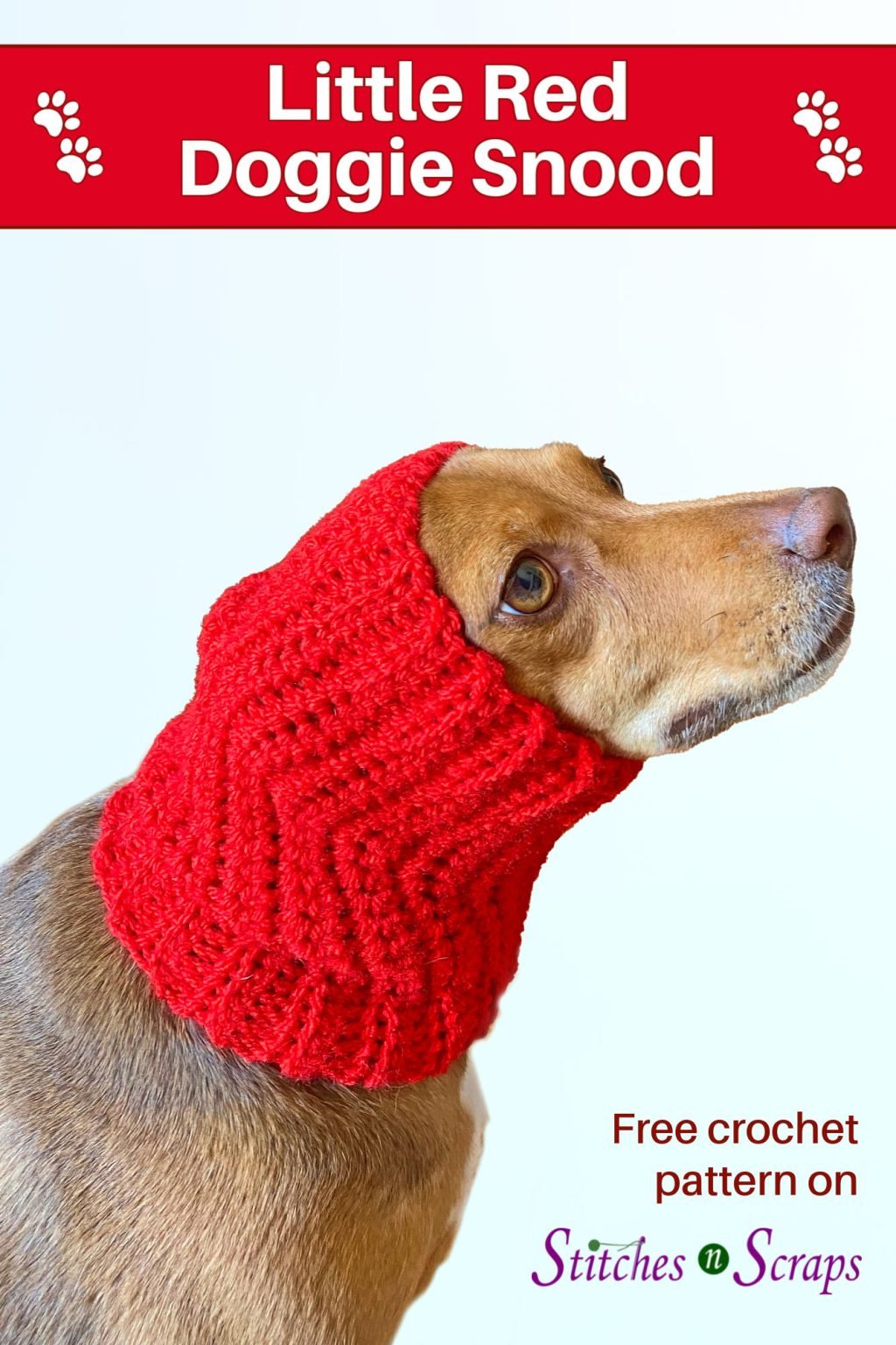 Dog Snood Crochet Pattern - Little Red Doggie Snood - Stitches n Scraps