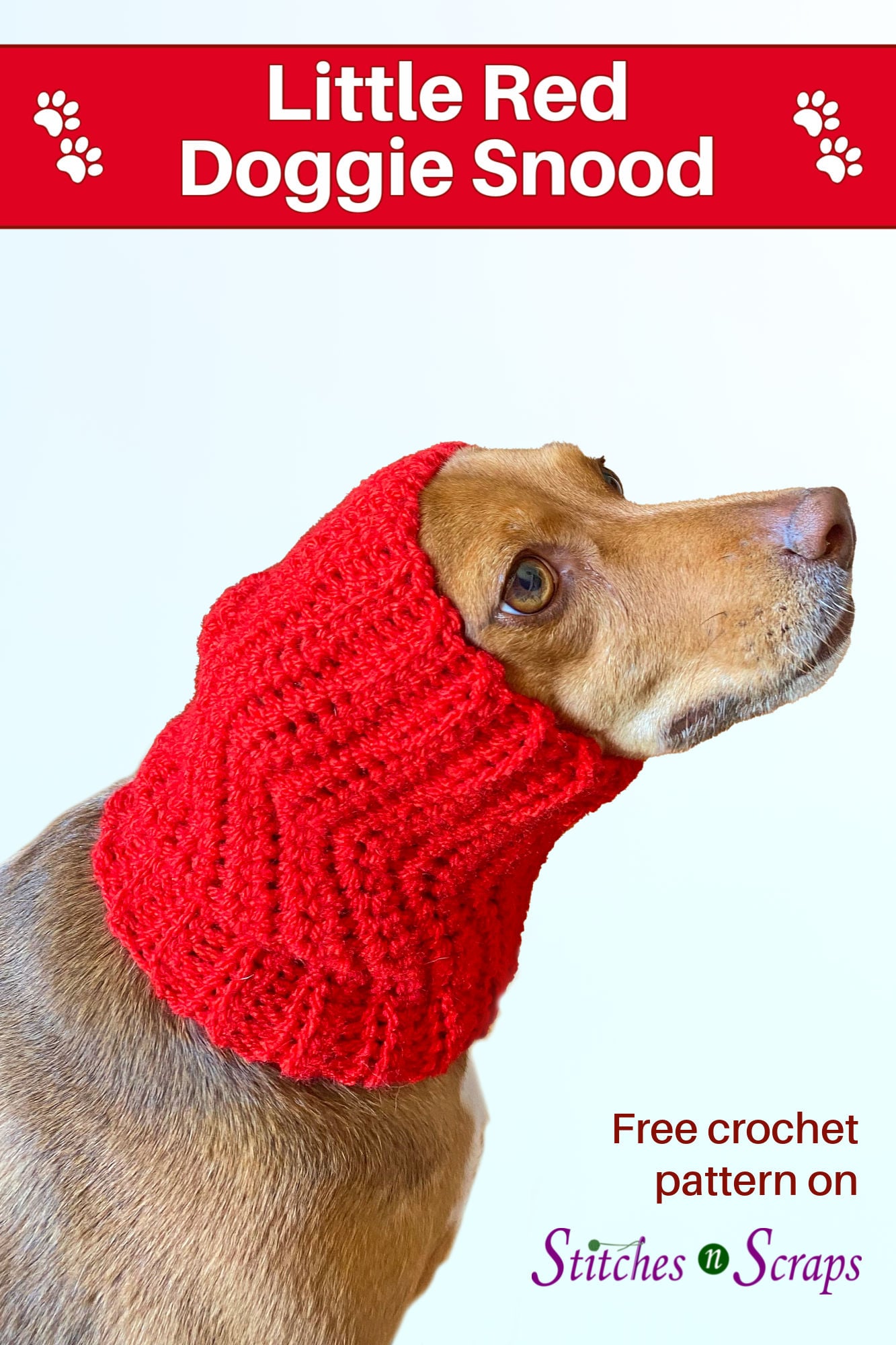 Dog Snood Crochet Pattern - Little Red Doggie Snood - Stitches n Scraps