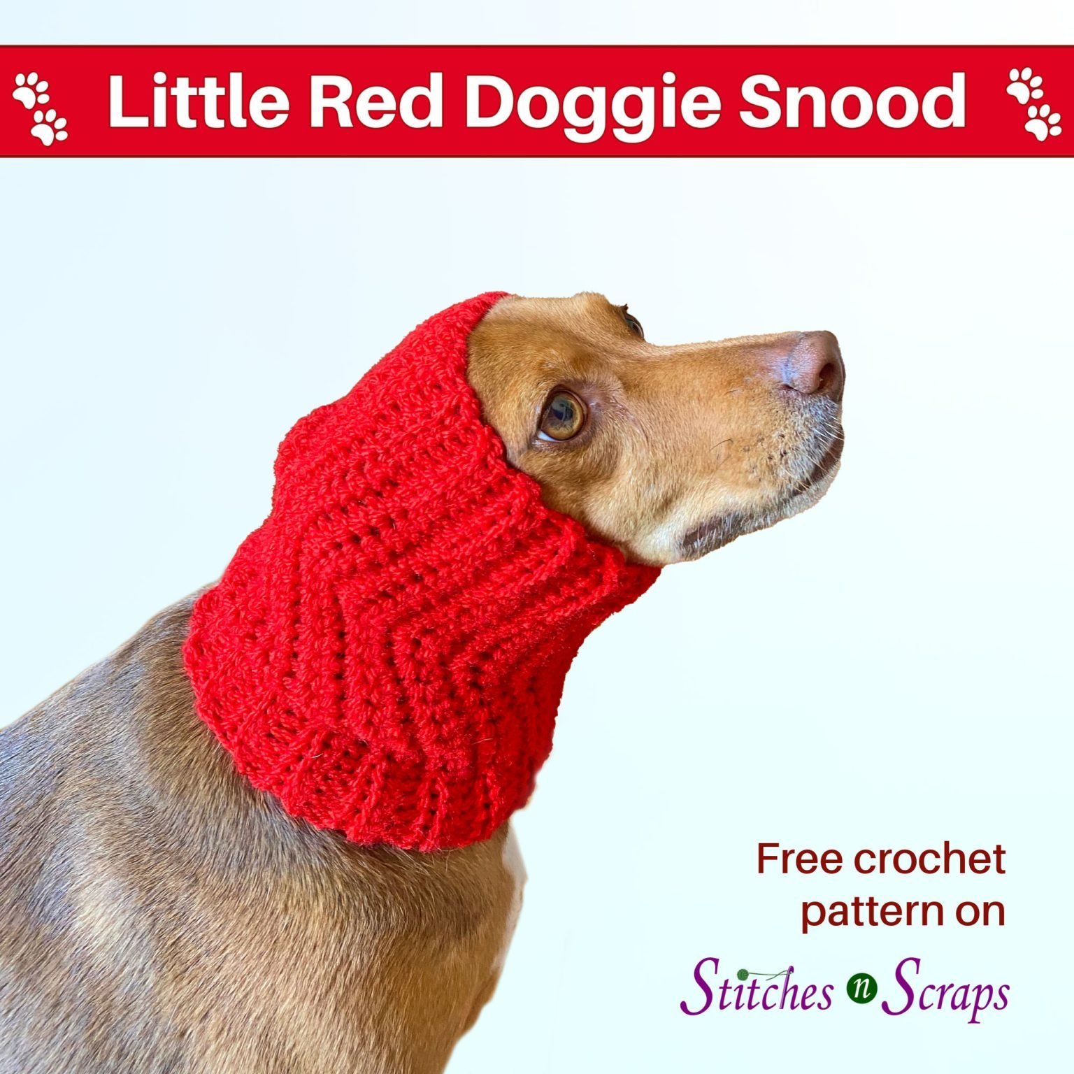 Dog Snood Crochet Pattern - Little Red Doggie Snood - Stitches n Scraps