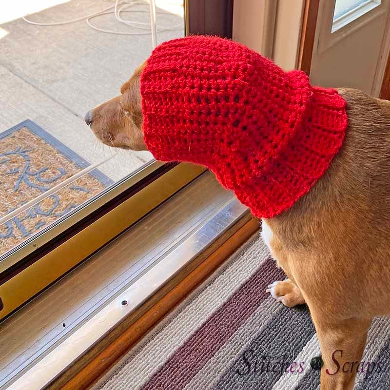 Dog Snood Crochet Pattern - Little Red Doggie Snood - Stitches n Scraps