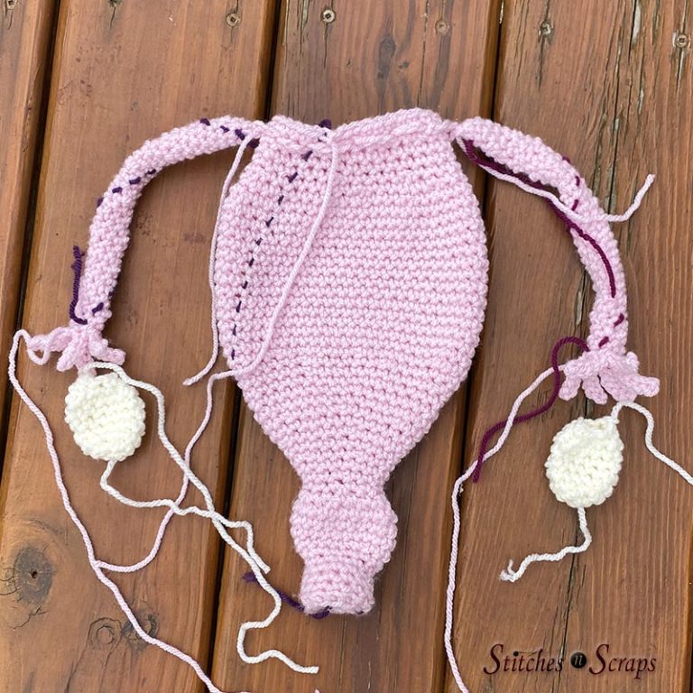 Uterus Drawstring Bag Crochet Pattern - Stitches n Scraps