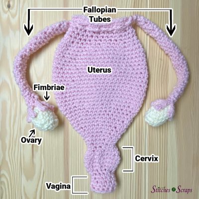 Uterus Drawstring Bag Crochet Pattern - Stitches n Scraps