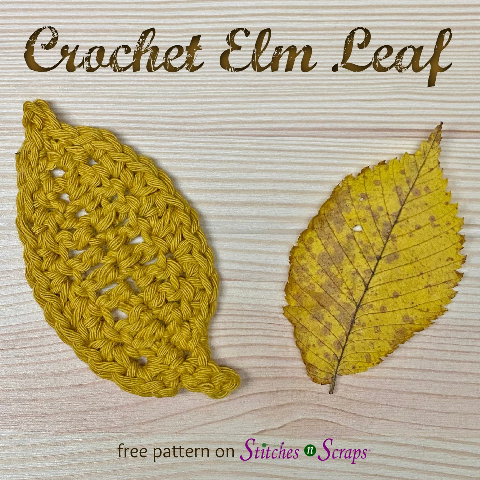 Crochet Elm Leaf Pattern - Stitches n Scraps