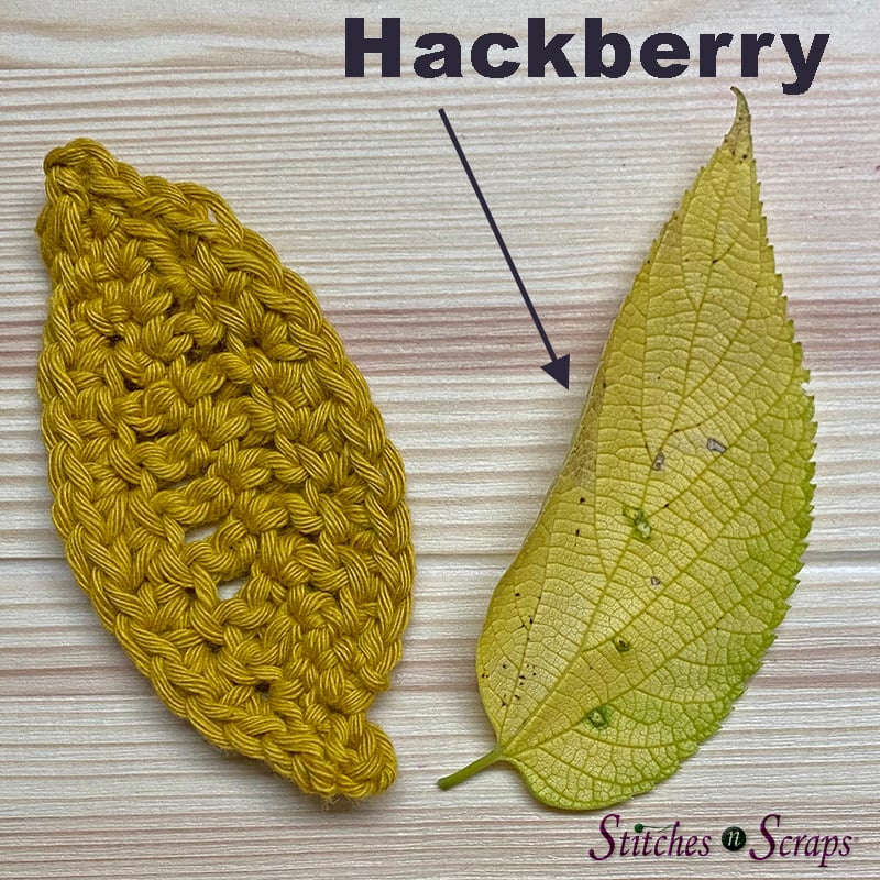 Crochet Elm Leaf Pattern - Stitches n Scraps