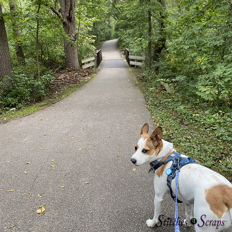 Crochet Elm Leaf Pattern - Stitches n Scraps