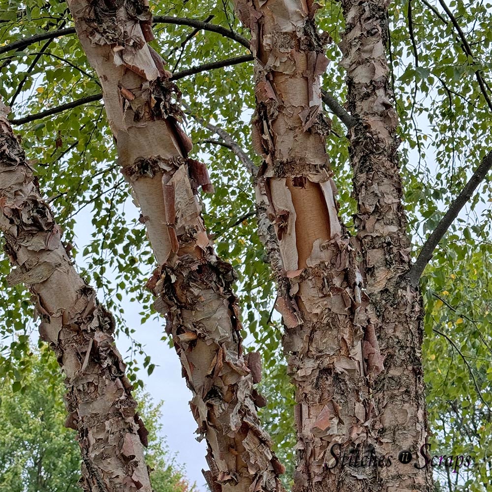 Crochet River Birch Leaf Pattern - Stitches n Scraps